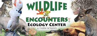 Wildlife encounters – https://goodwinlibrary.org