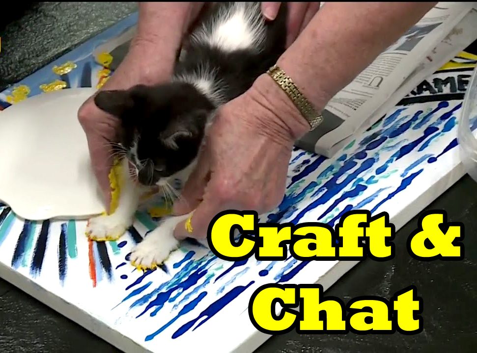 Craft & Chat – Tues. 2/7 at 7:00PM on Zoom – https://goodwinlibrary.org